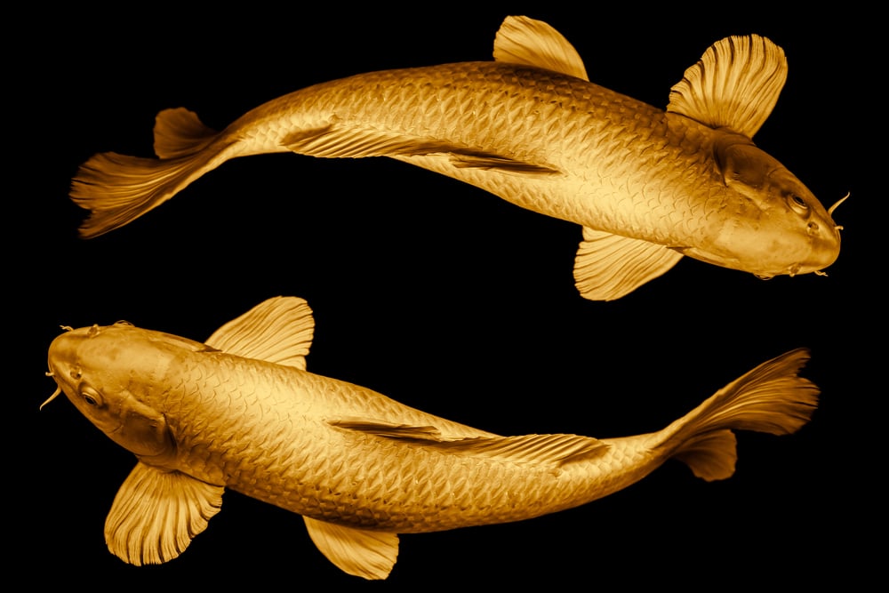 17 Classic Trust Symbols and What They Teach Us About Trust
